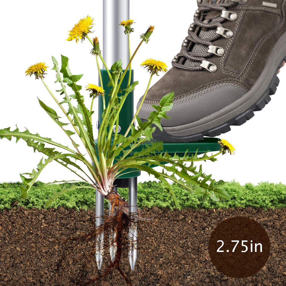 Standing Plant Root Remover - Mounteen