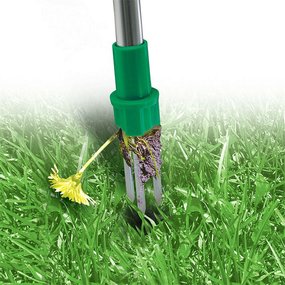 Standing Plant Root Remover - Mounteen
